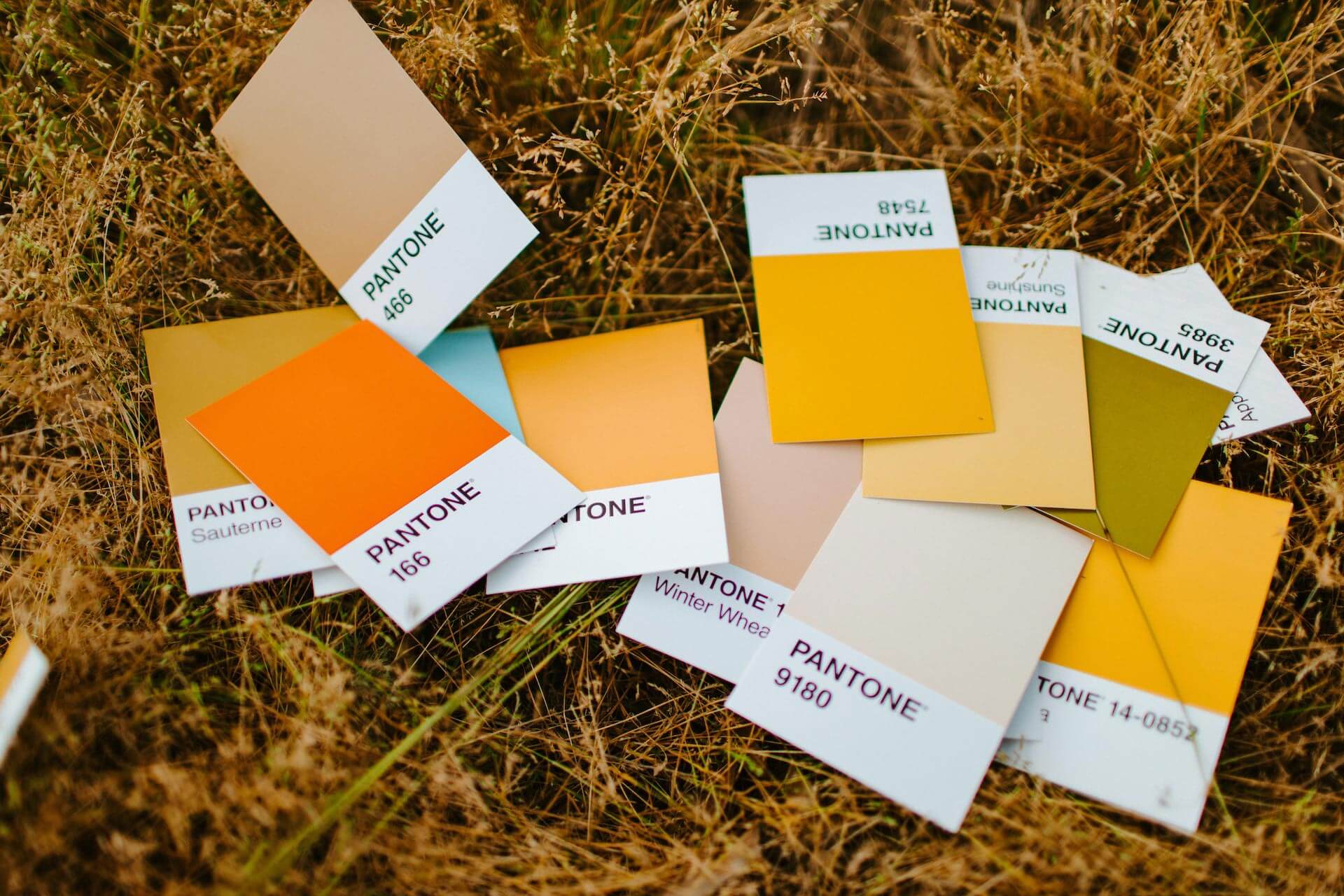 Scopriamo il Sistema Pantone – Ideal Work